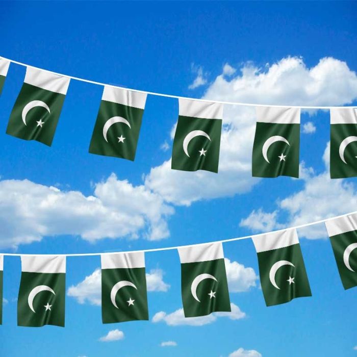 Pakistan Flag Bunting | Buy Pakistan Flag Bunting | The Flag Shop