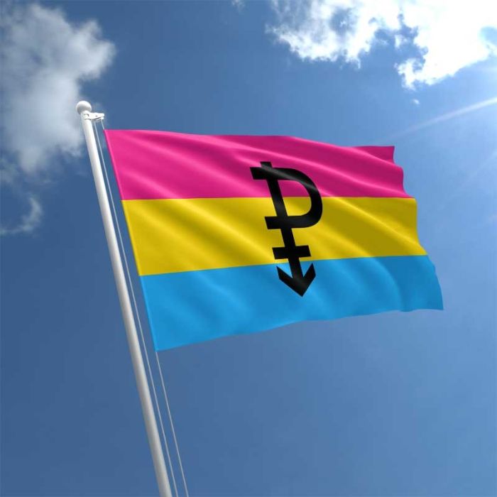 Pansexual Symbol Flag | LGBT Flag | The Flag Shop