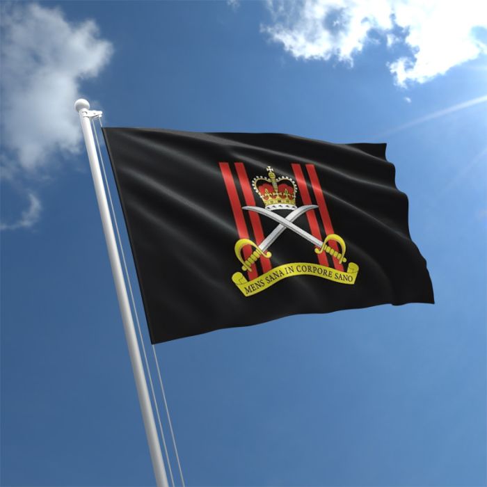 Army Physical Training Corps Camp Flag | The Flag Shop