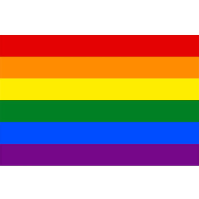 Giant Rainbow Flag Buy Gay Pride Large Flag The Flag Shop