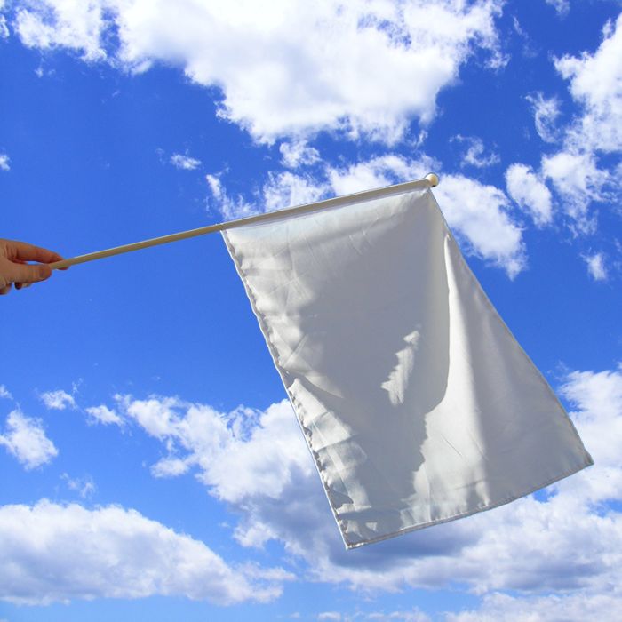 White Hand Waving Flag | Plain White Hand Flag | The Flag Shop