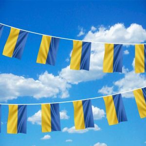 Custom Ukraine Flag | Personalised Flag | The Flag Shop