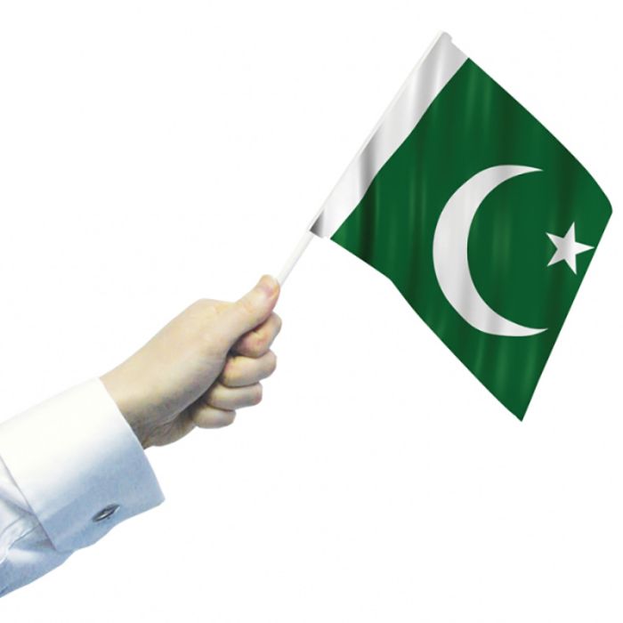 Pakistan Hand Waving Flag Pack | Pack of 12 | The Flag Shop