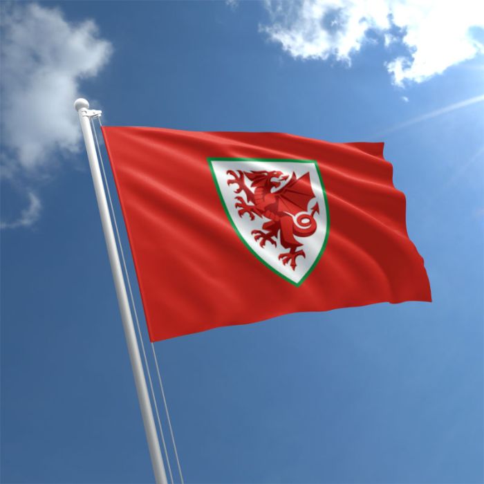 Wales Football Flag |Wales FC Flag | The Flag Shop