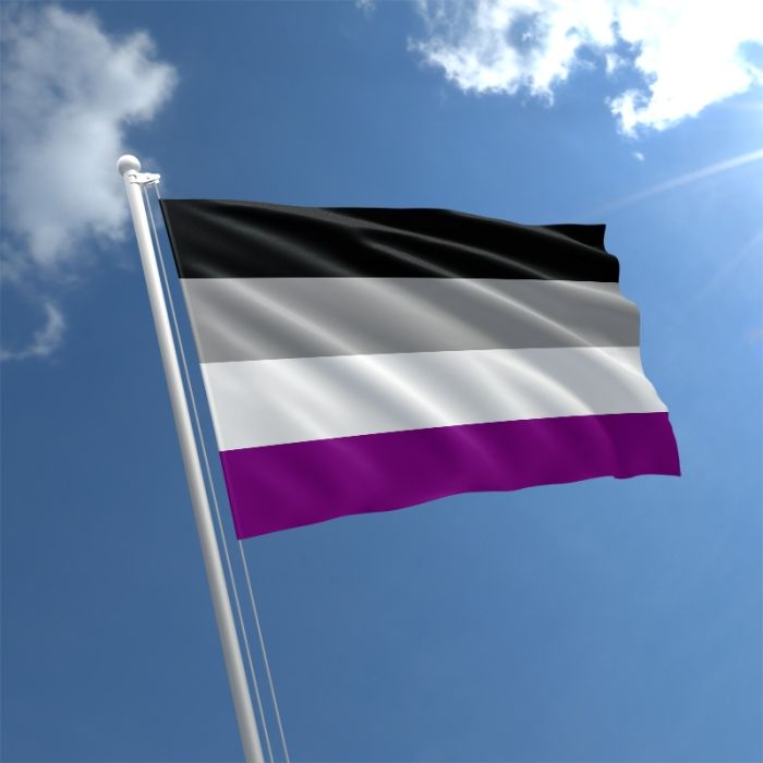Small Asexual Flag | LGBT Flags | The Flag Shop
