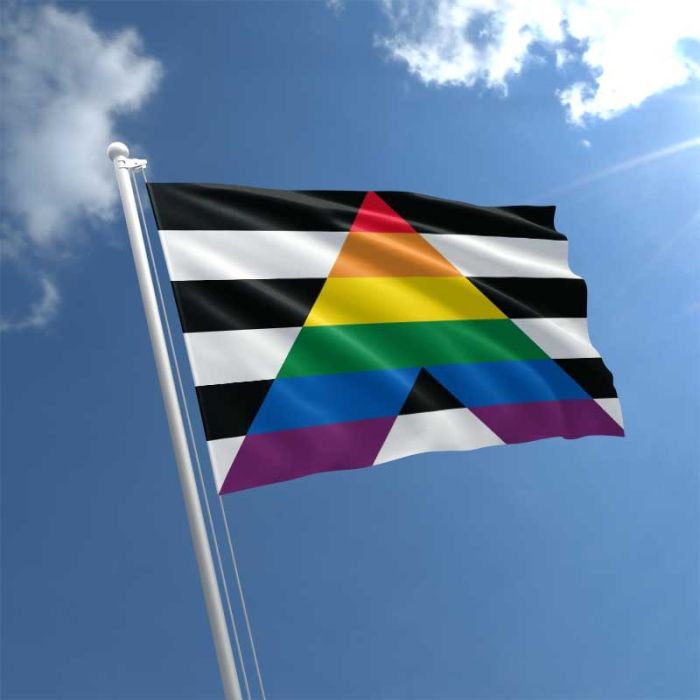 Custom Custom Straight Allies Flag | Personalised LGBT Flags - The Flag ...