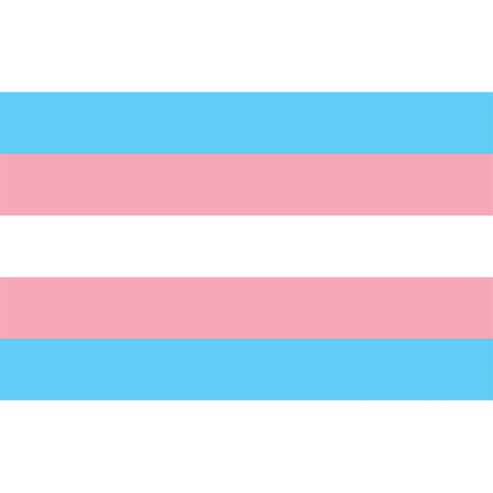 Transgender Flag - Sewn | Big Transgender Flag | The Flag Shop