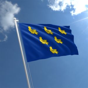 Sussex flag | flag of Sussex - The Flag Shop