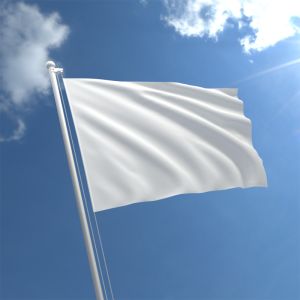 Plain White flag 8ft x 5ft | World Flags - The Flag Shop